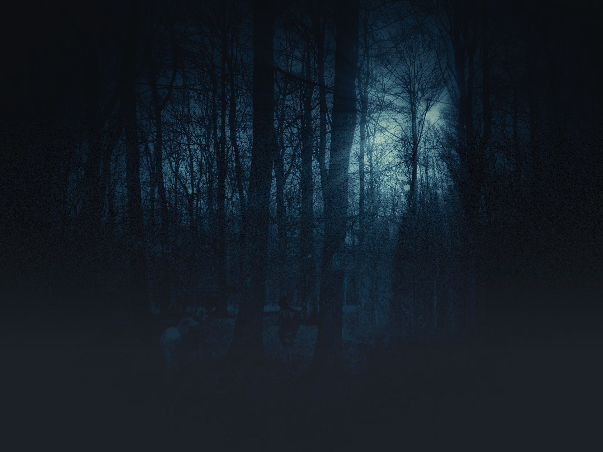 DEVILWORKS World Film Sales Agent